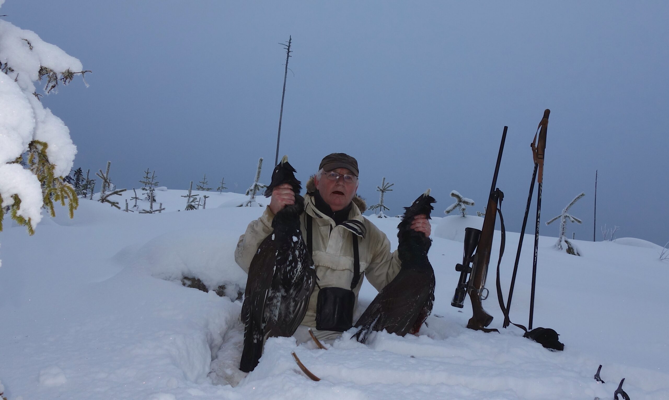Western Capercaillie - Sweden,SE - Ragnar Øye - Nordisk Safari Klub